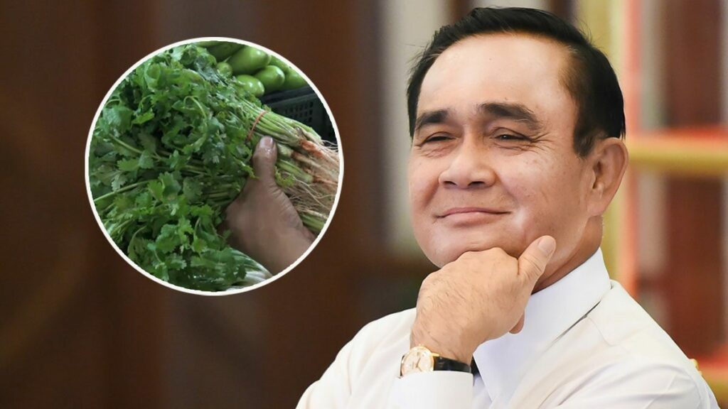 'The stupid leader is leaving us all for dead' hashtag now trending on ...