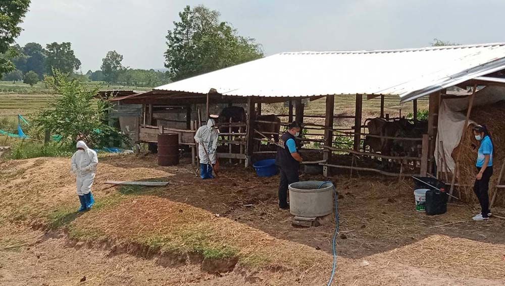 Another anthrax patient found, taking total to 3 - Thai Newsroom